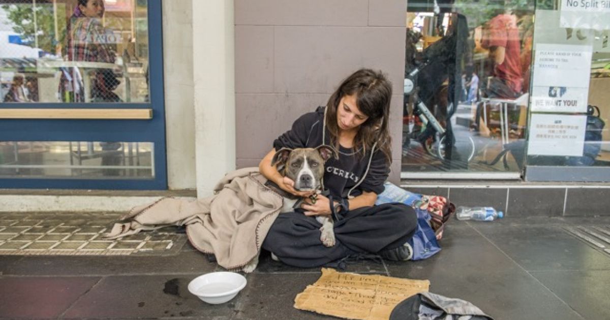 Safe Shelter - Pets Of The Homeless | Temporary Care for Pets in Crisis