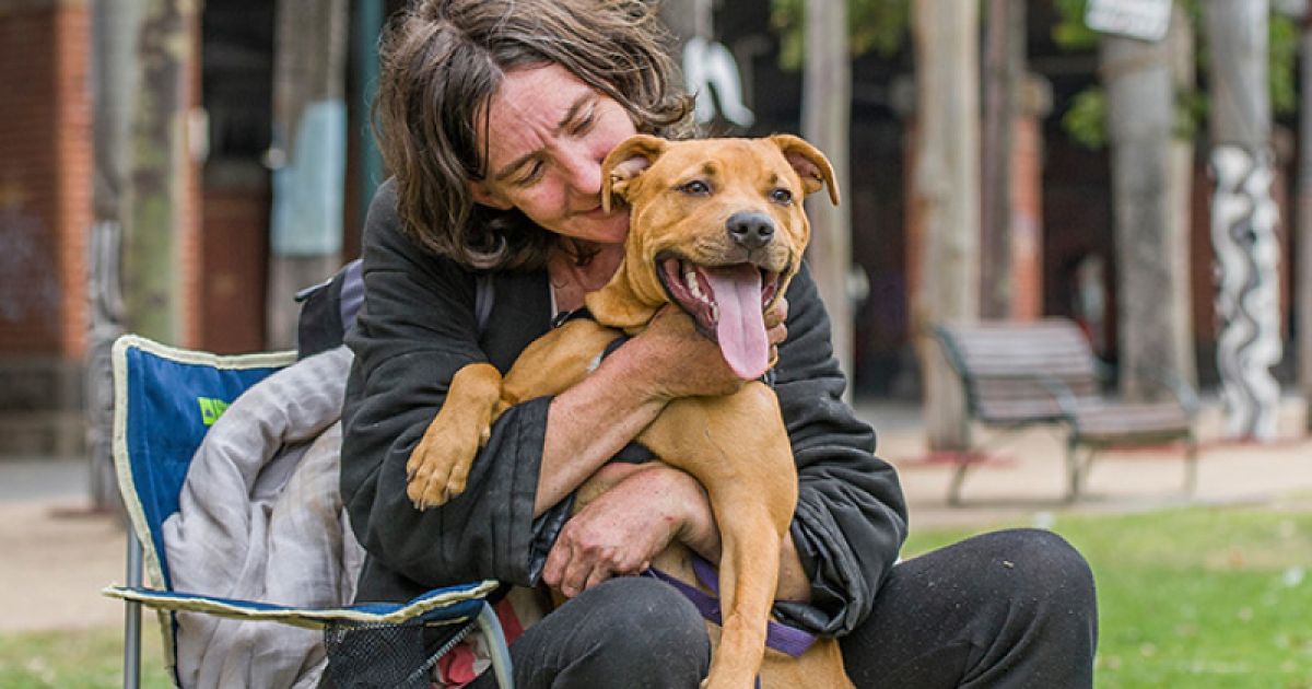 Donate - Pets Of The Homeless | Help Keep Best Friends Together