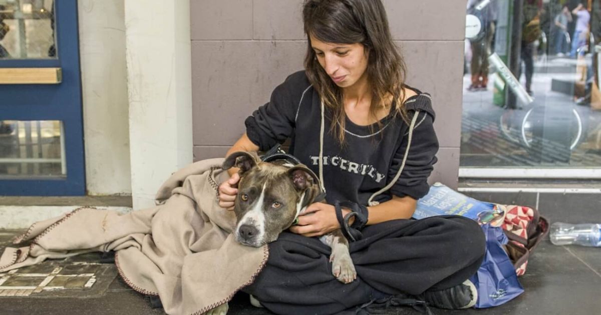 Who and Why We Help - Pets Of The Homeless | Supporting People and Pets ...